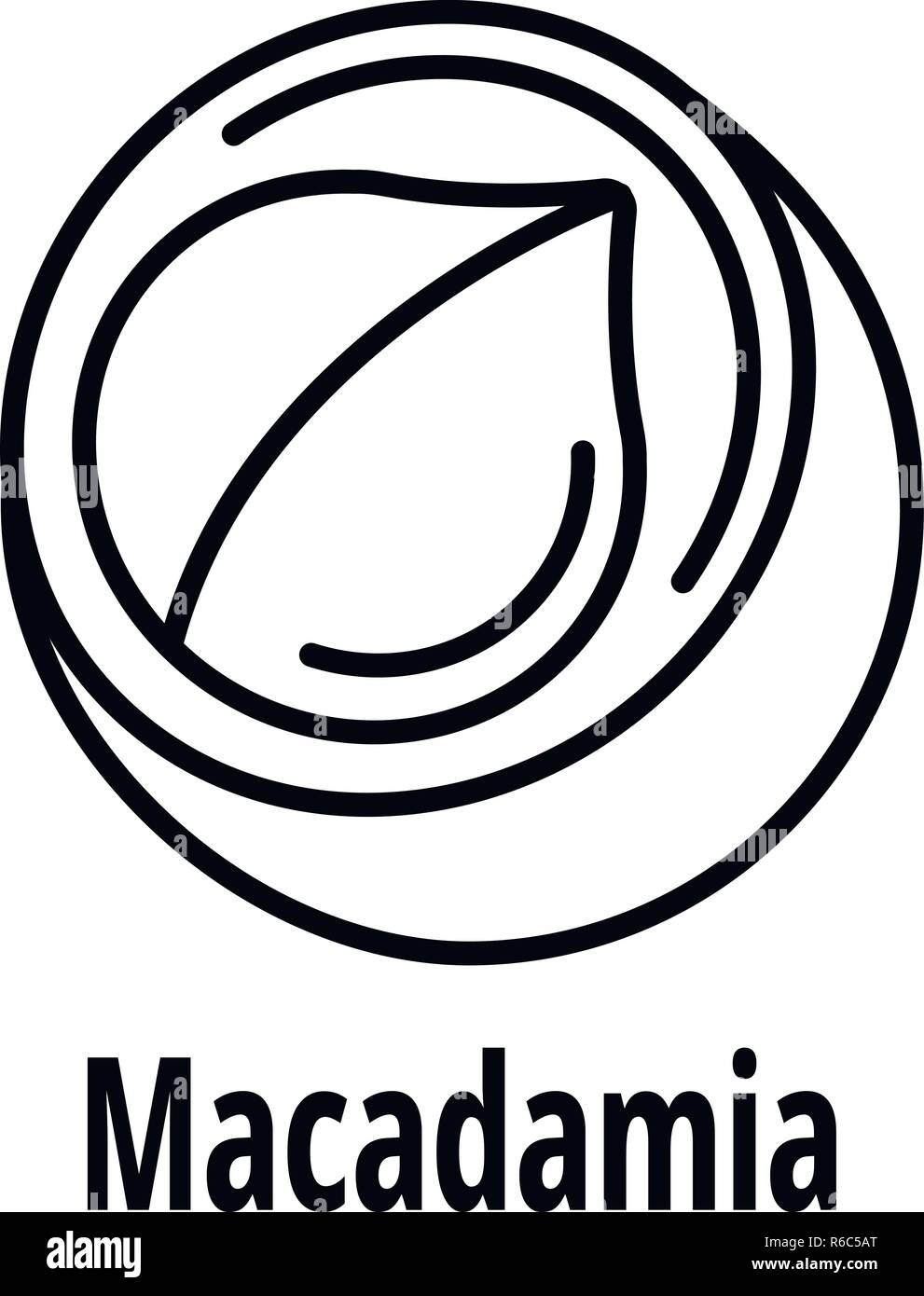 Macadamia nuts tree Stock Vector Images - Alamy