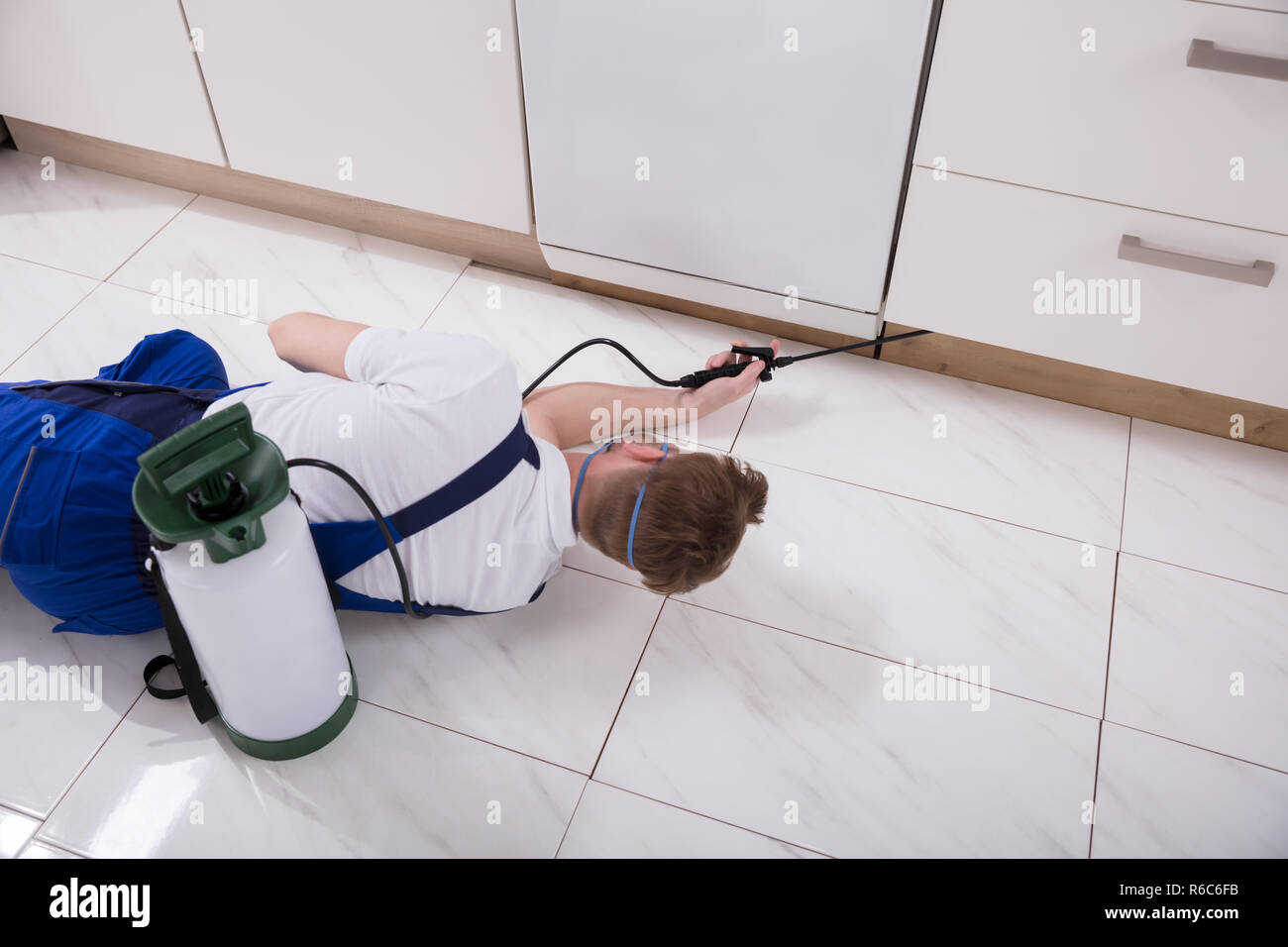 Exterminator Worker Spraying Insecticide Chemical Stock Photo - Alamy