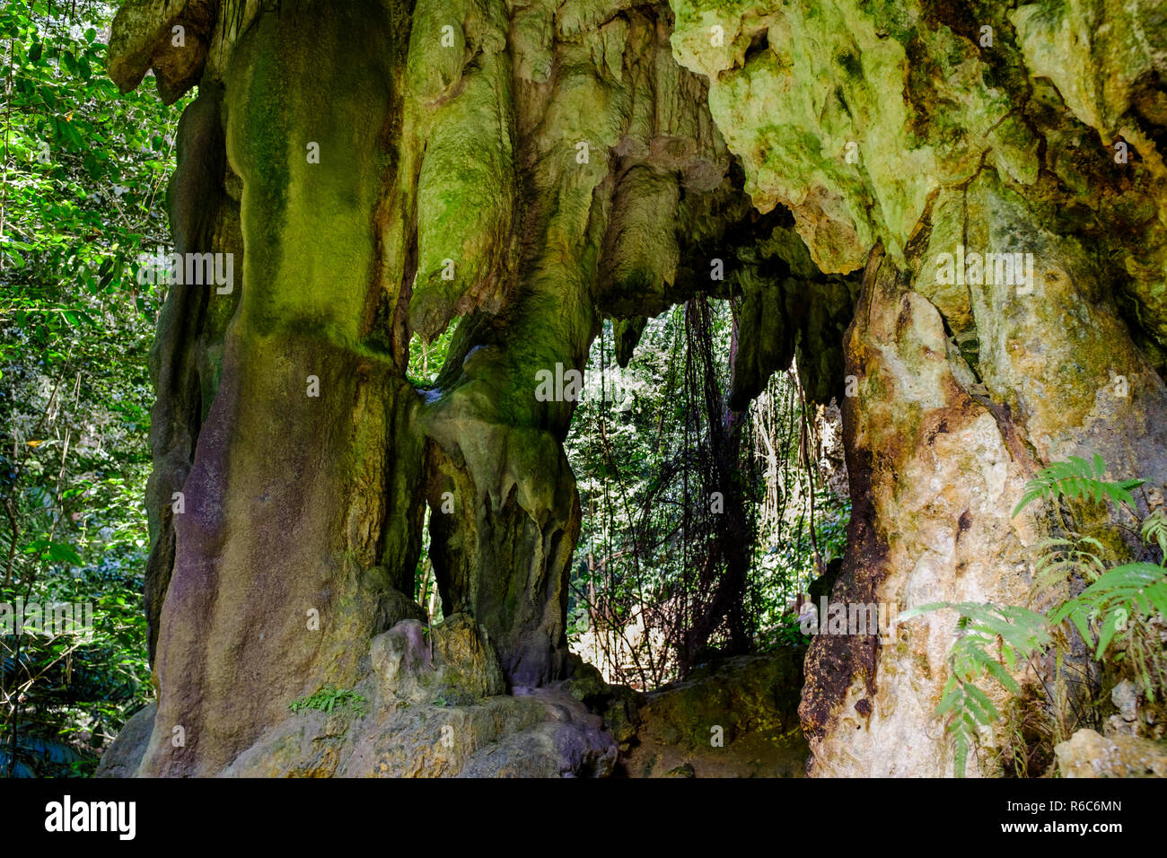 A walk through the lush jungle and limestone cliffs of Welchman Hall ...