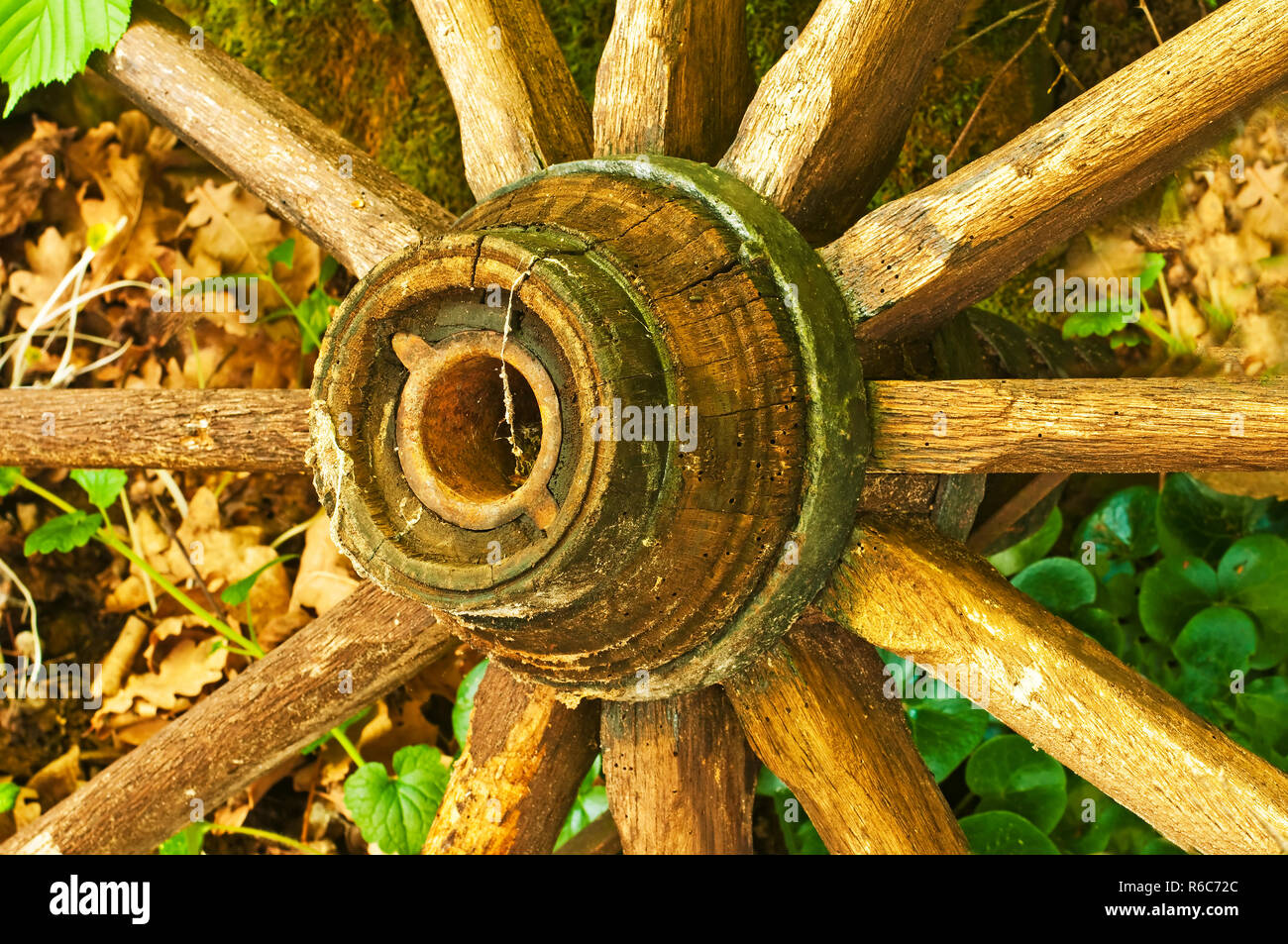 Rotten cart hi-res stock photography and images - Alamy