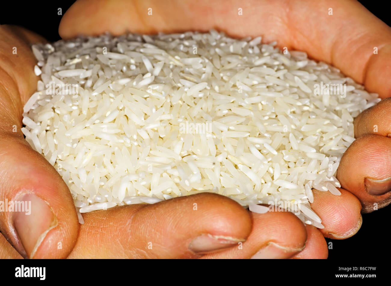 China white rice farmer hand hi-res stock photography and images - Alamy