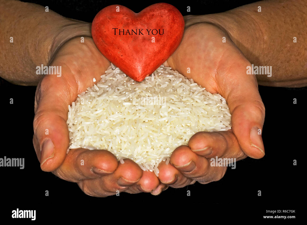 China white rice farmer hand hi-res stock photography and images - Alamy