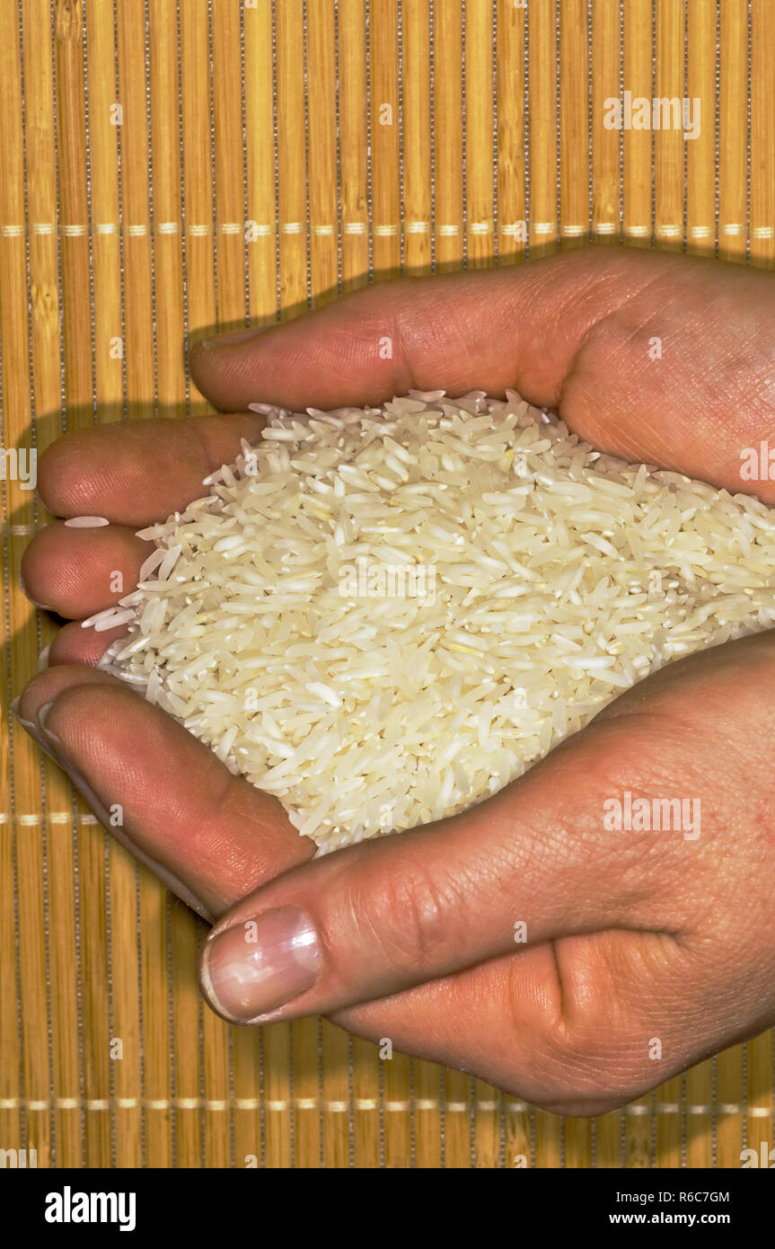 China white rice farmer hand hi-res stock photography and images - Alamy