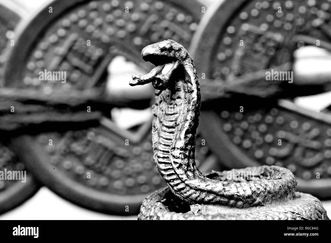 Wind snake hi-res stock photography and images - Alamy