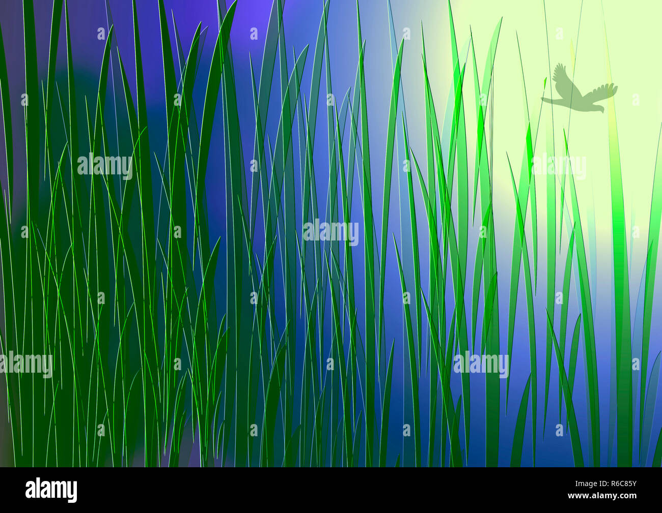 Full mon hi-res stock photography and images - Alamy