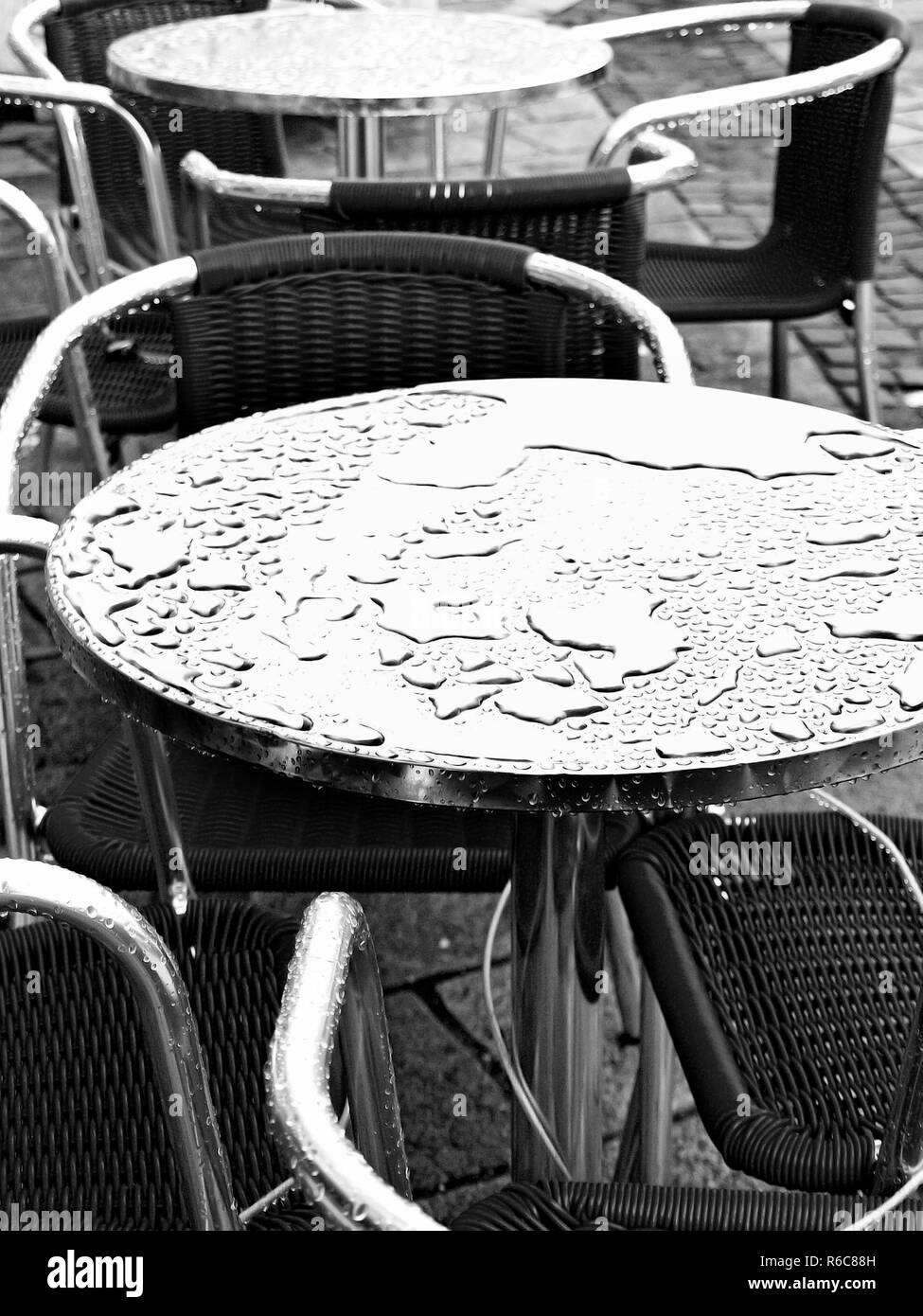 Waiting in the garden Black and White Stock Photos & Images - Alamy