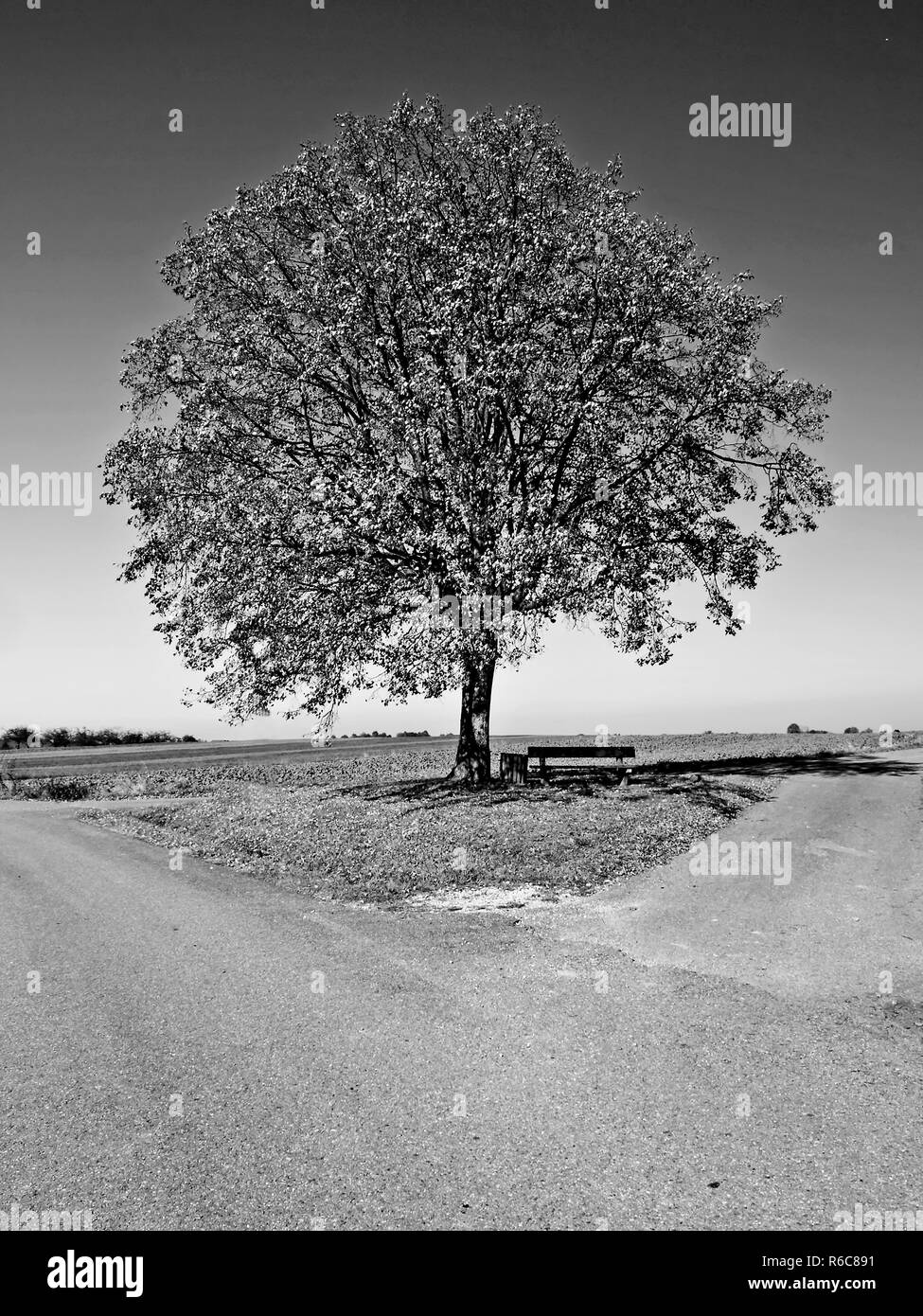 Way of the cross Black and White Stock Photos & Images - Alamy