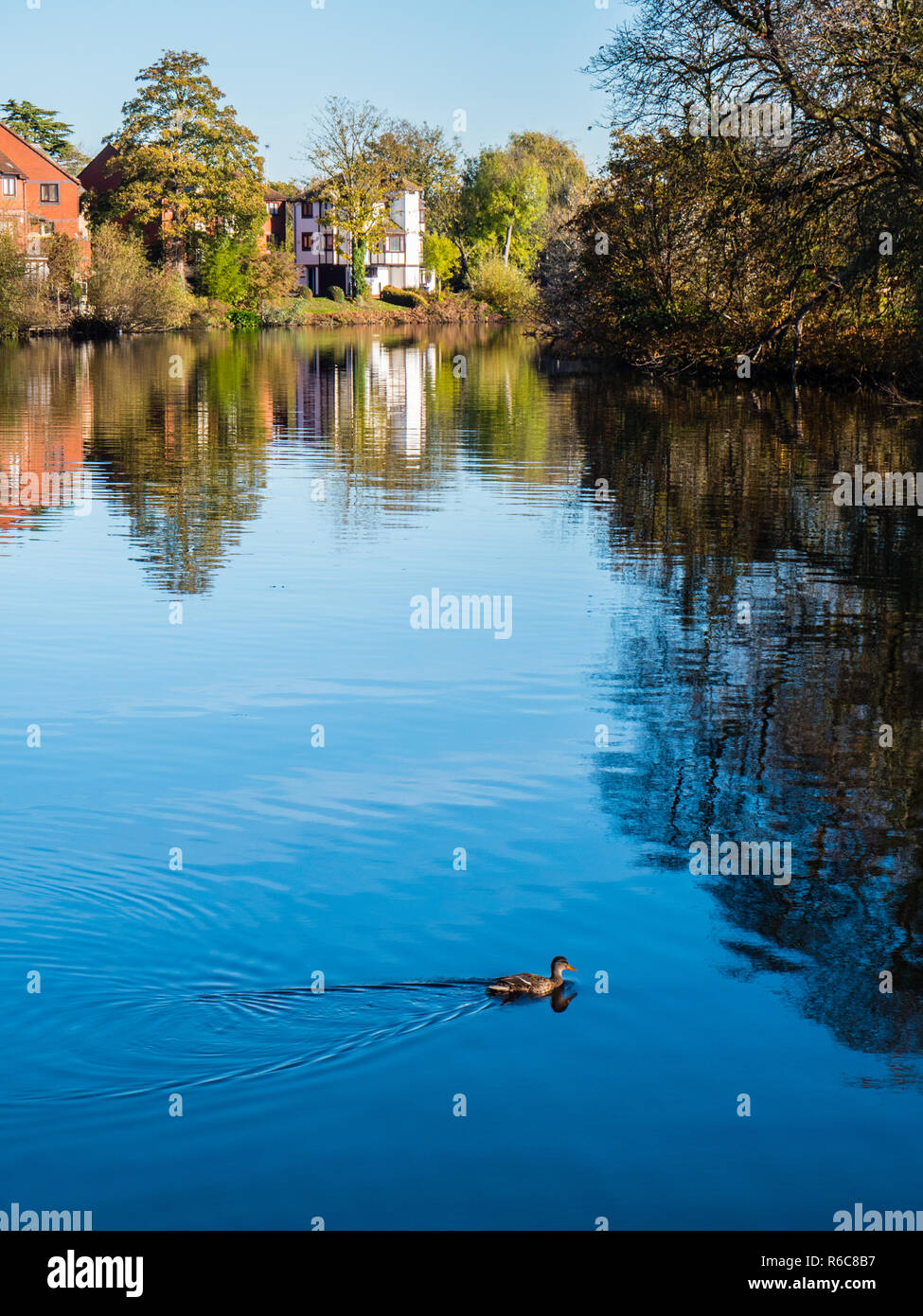 Kings Meadow Reading High Resolution Stock Photography and Images - Alamy