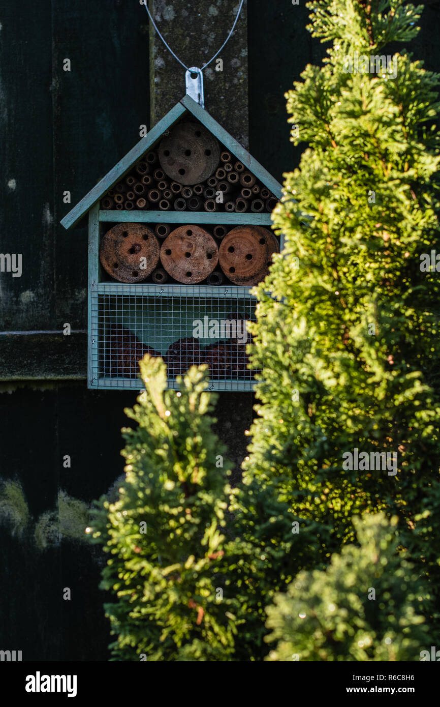 Bug hut hi-res stock photography and images - Alamy