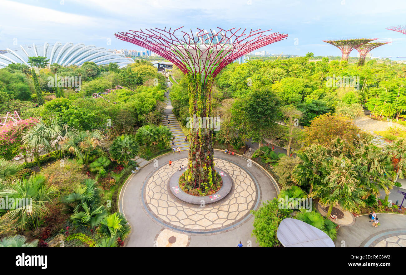 The Supertrees At Gardens By The Bay In Singapore Stock Photo - Alamy