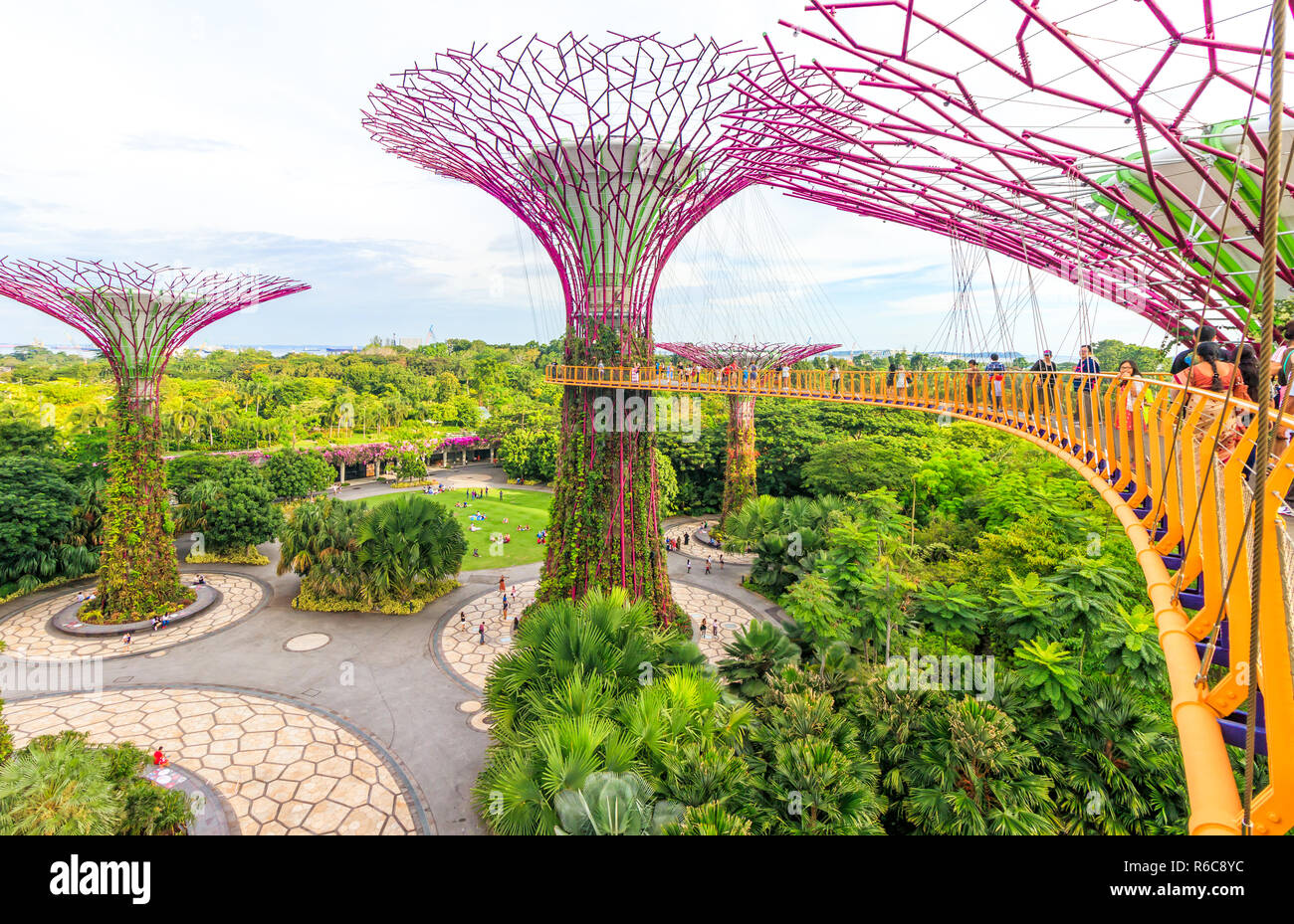 The Supertrees At Gardens By The Bay In Singapore Stock Photo - Alamy