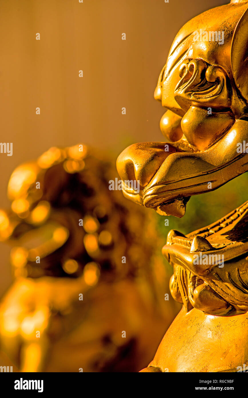 Feng Shui Lion Stock Photo - Alamy