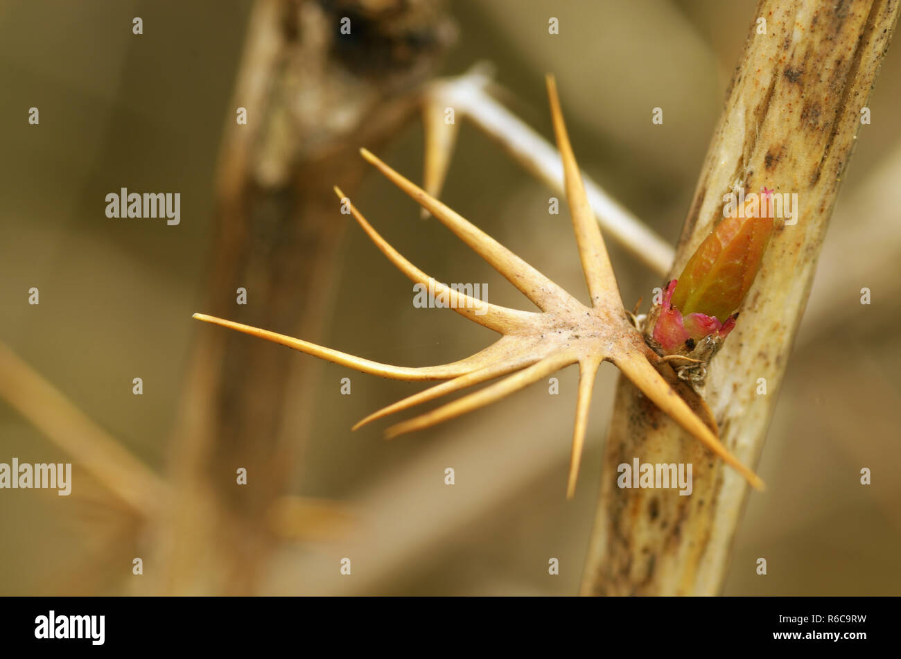Which serve her protection hi-res stock photography and images - Alamy