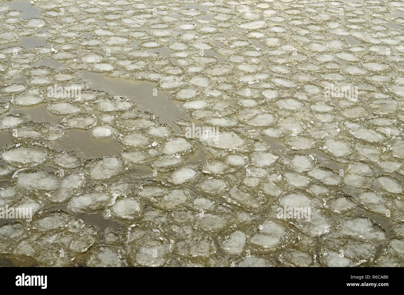Patterned ice on the river.These are frozen water crystals Stock Photo ...
