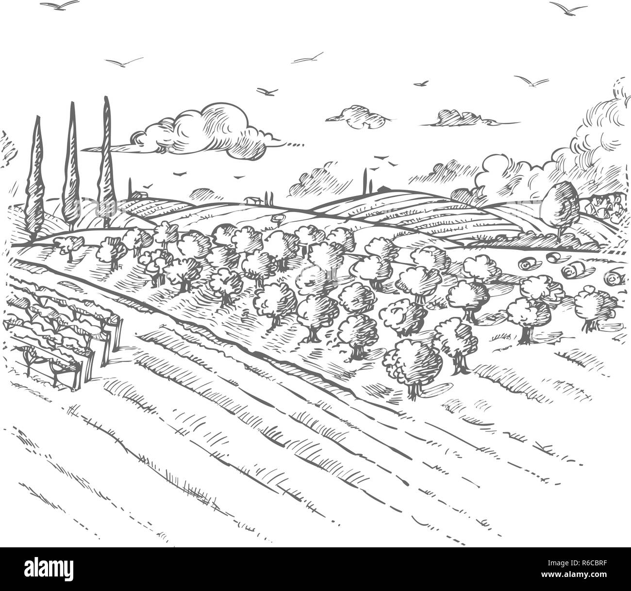 Village trees picture Black and White Stock Photos & Images - Alamy