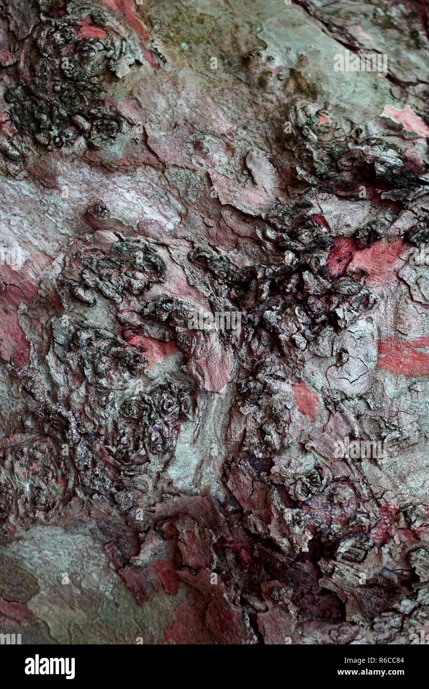 Pattern editor hi-res stock photography and images - Alamy