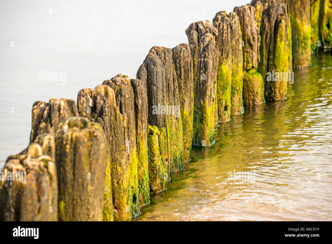 Groin In The Baltic Sea Stock Photo - Alamy