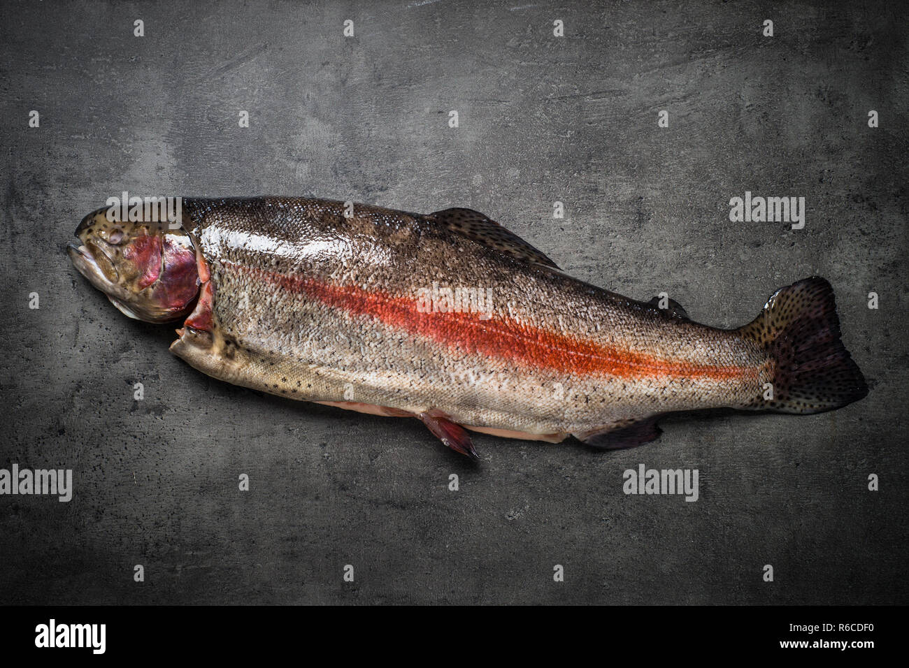 Salmon whole fish hi-res stock photography and images - Alamy