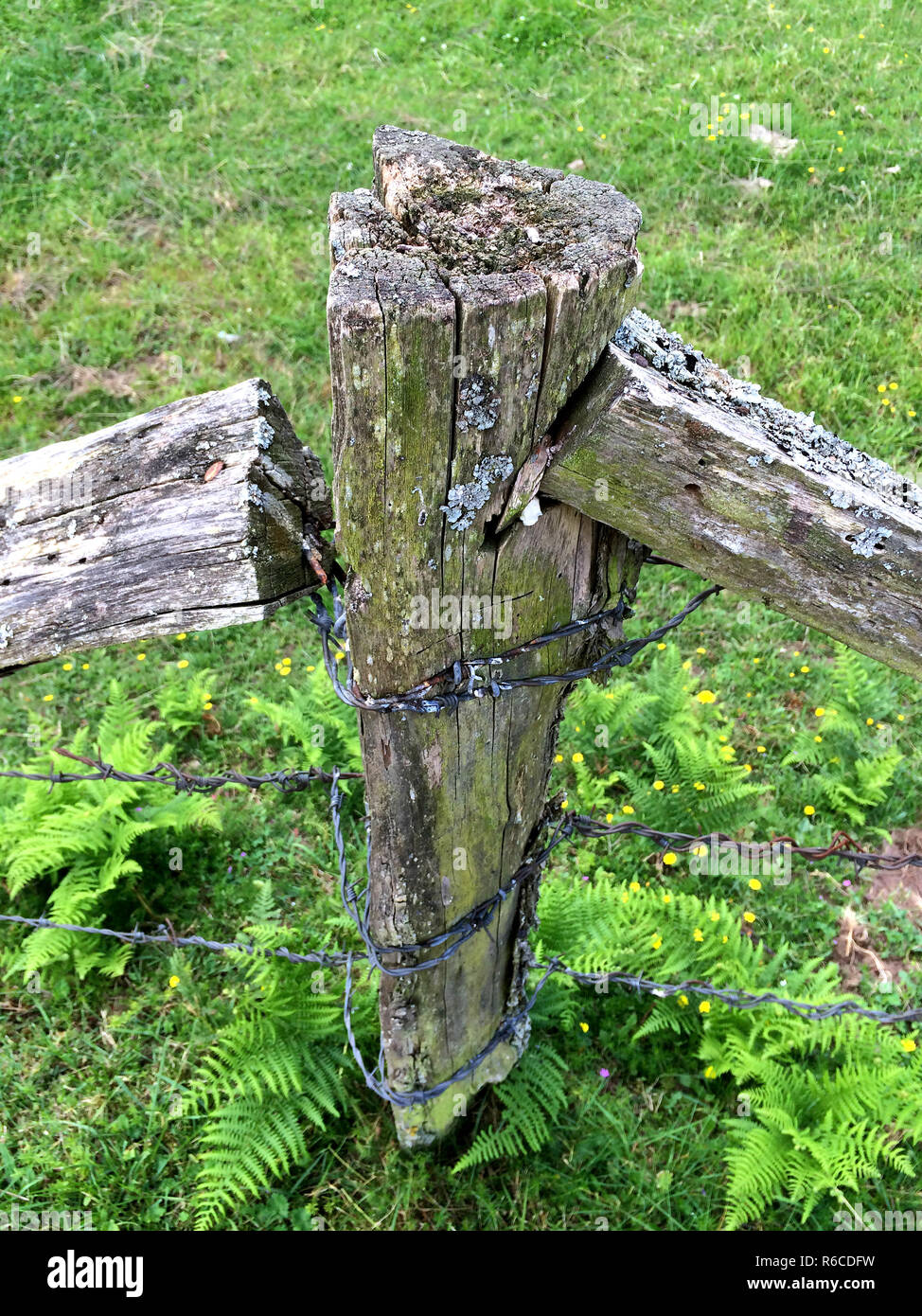 Ancient Fence With Barb Wire Stock Photo - Alamy