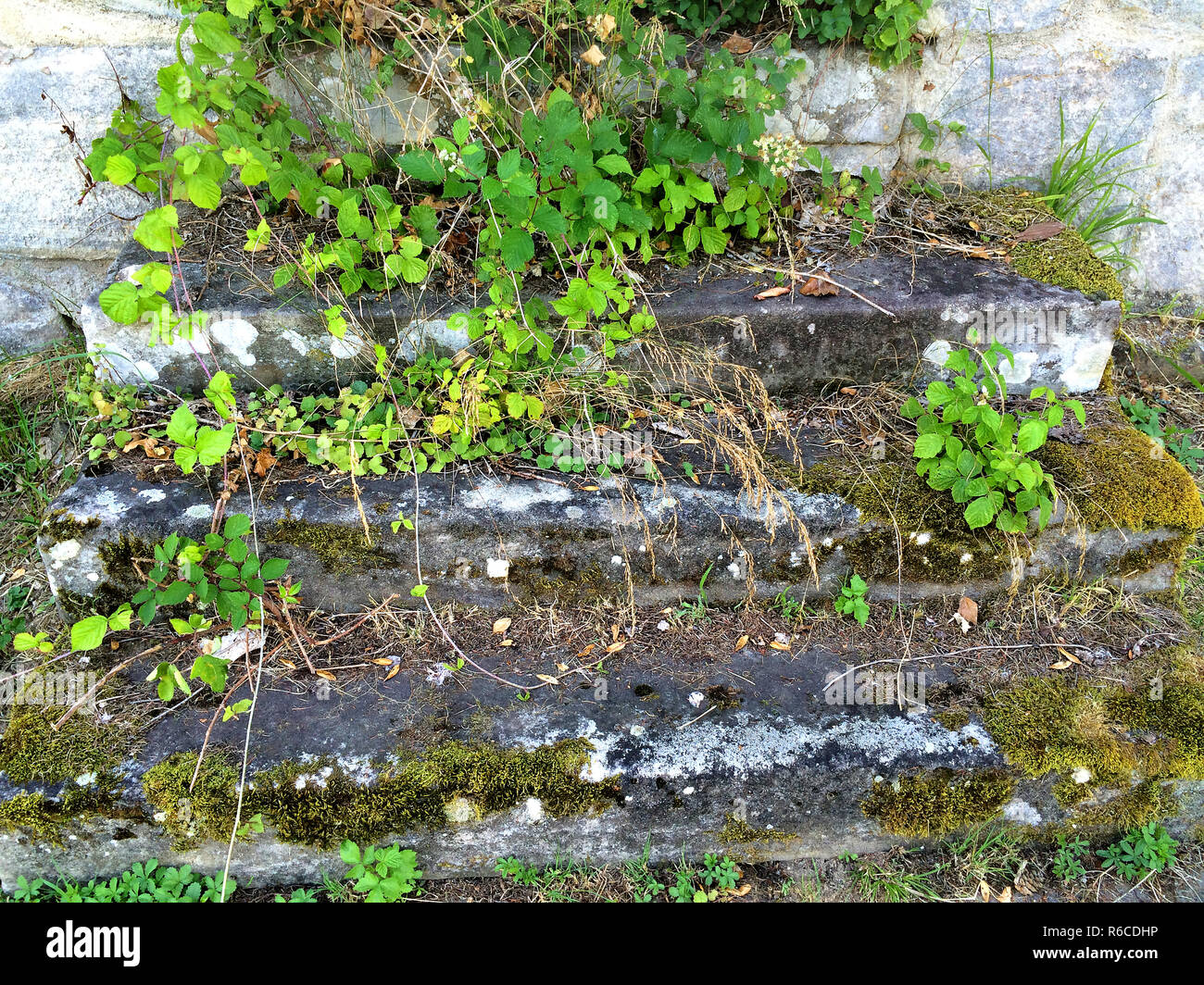 Medieval stairs hi-res stock photography and images - Alamy