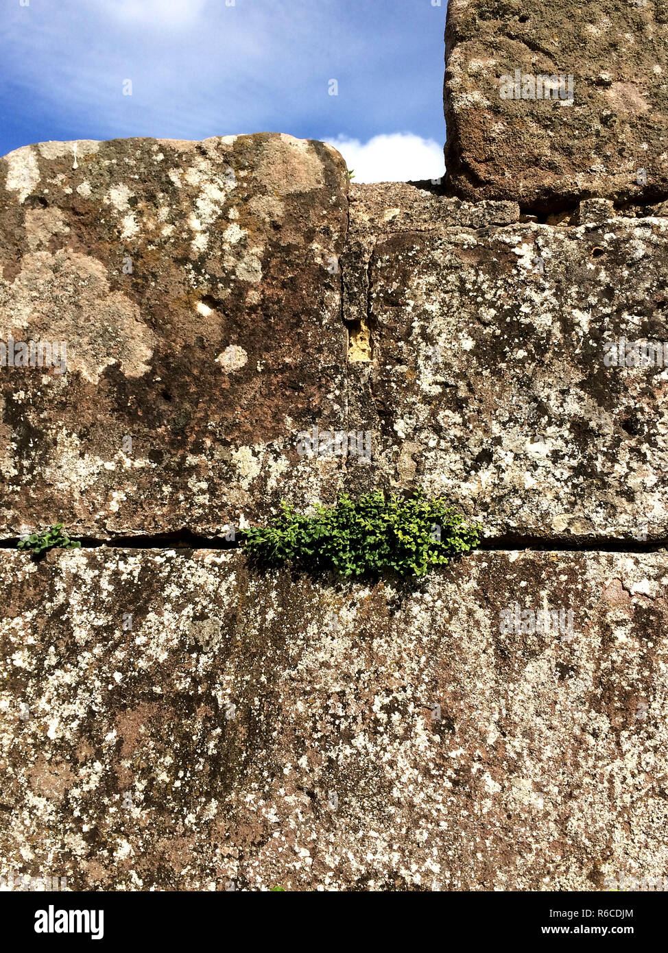 French Castle Wall With Plants Stock Photo - Alamy