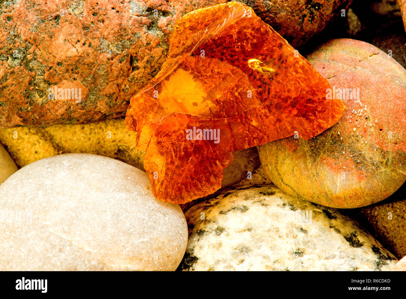 Amber On A Beach Of The Baltic Sea Stock Photo - Alamy