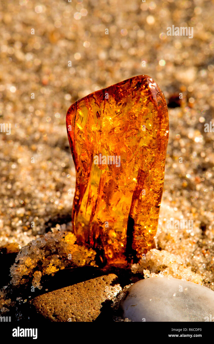 Amber On A Beach Of The Baltic Sea Stock Photo - Alamy