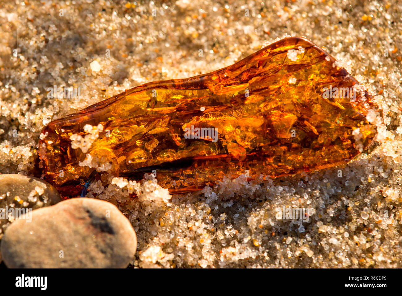 Amber On A Beach Of The Baltic Sea Stock Photo - Alamy