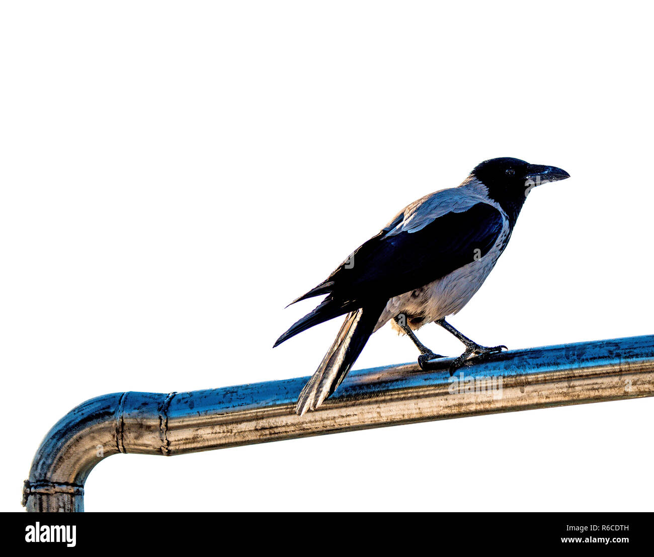 Reling hi-res stock photography and images - Alamy