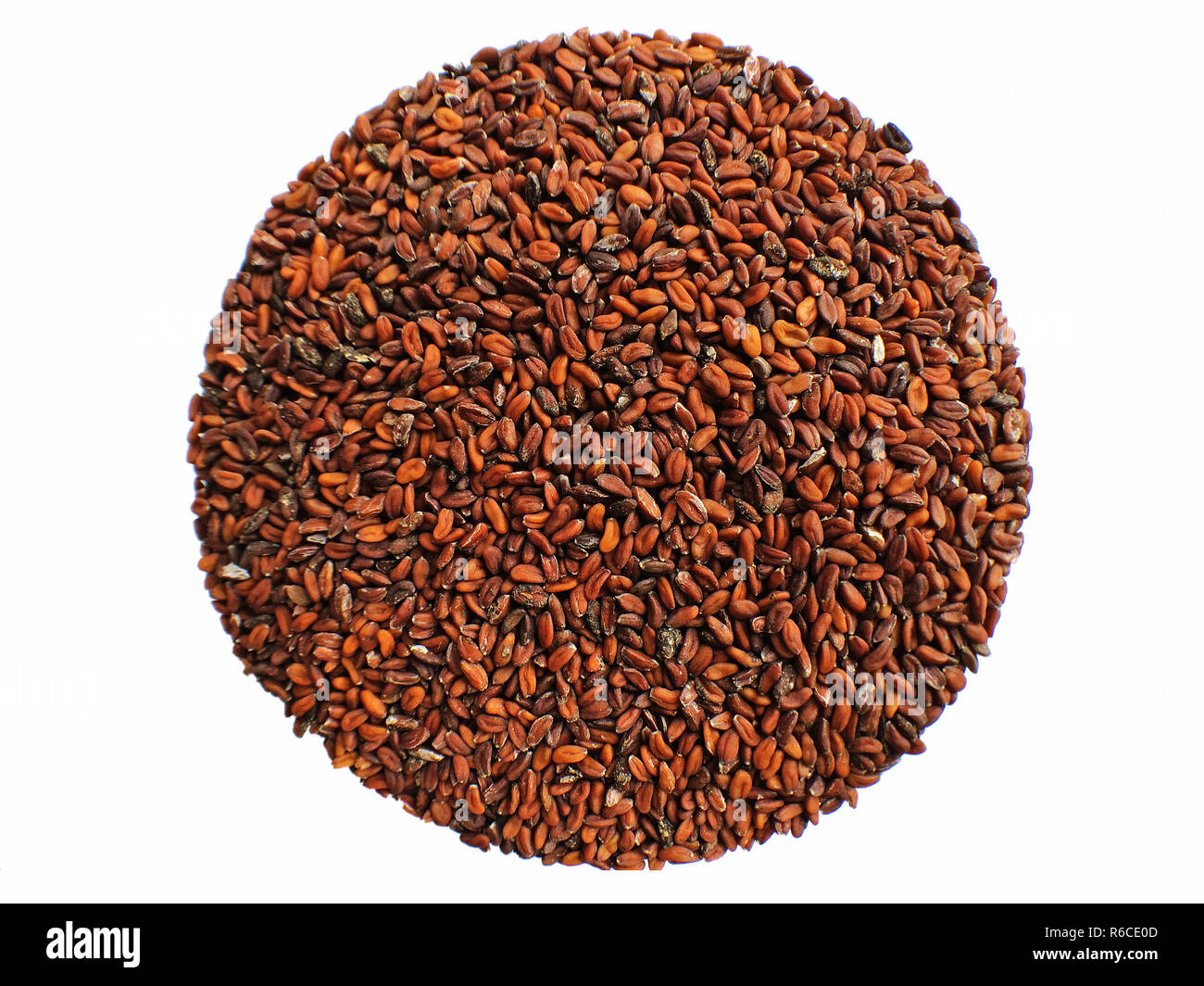 Cress seeds hi-res stock photography and images - Alamy