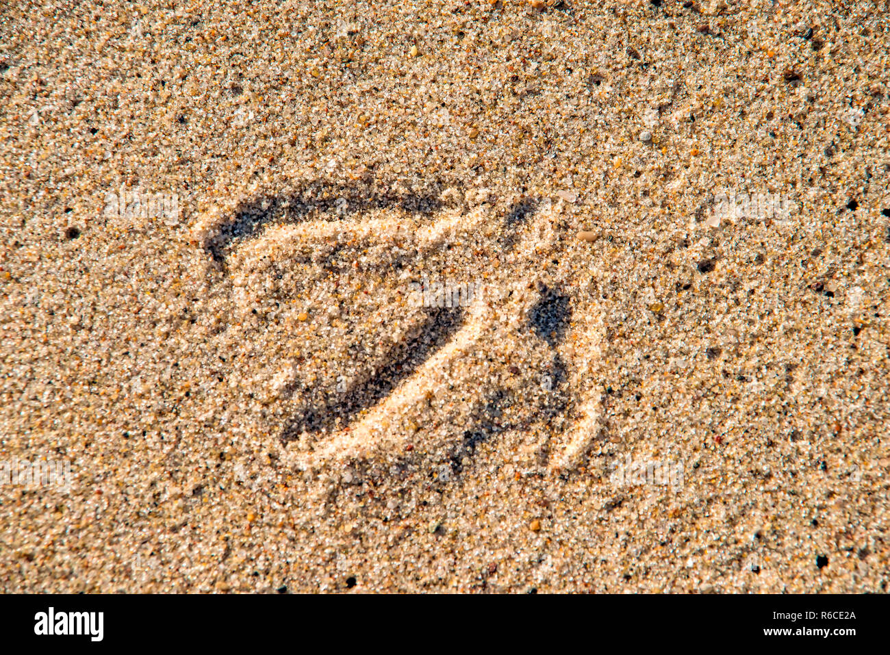 Tracks Of A Gull In Sand Stock Photo - Alamy