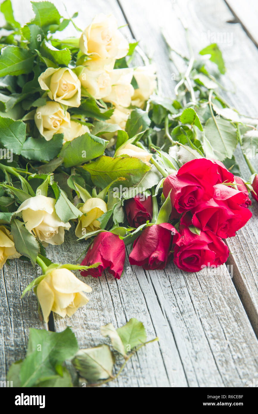 Flowers of roses Stock Photo - Alamy