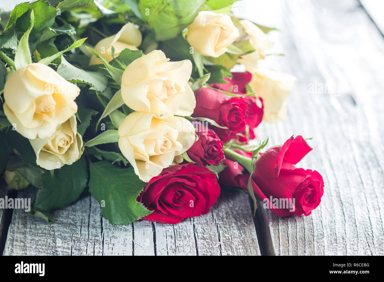 Flowers of roses Stock Photo - Alamy