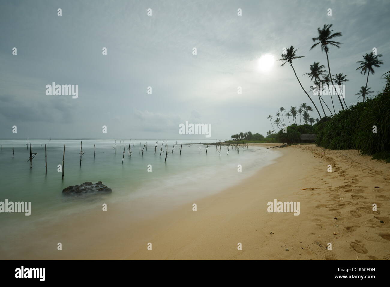 the stilt fishermen at koggala in sri lanka Stock Photo - Alamy