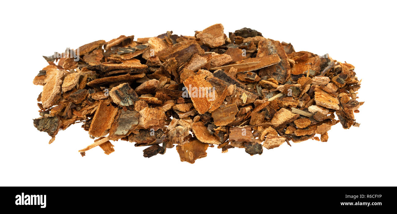 Side view of a portion of cut cherry tree bark isolated on a white ...