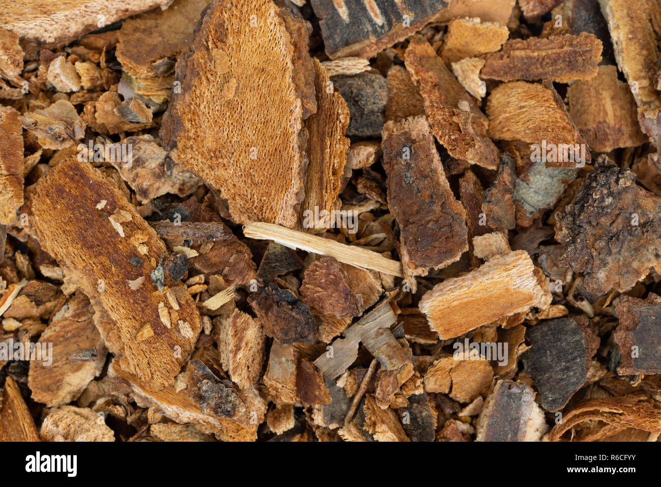 Very close view of cut cherry tree bark Stock Photo - Alamy