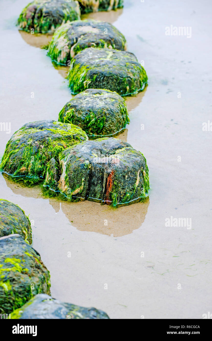 Groin In The Baltic Sea Stock Photo - Alamy