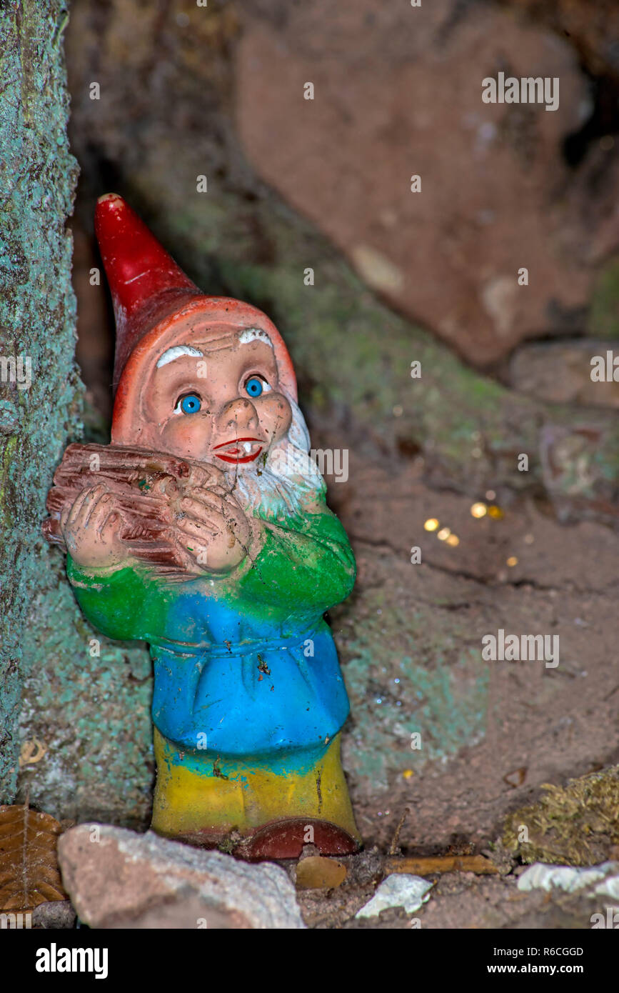 Garden Gnome In A Tree Cave Stock Photo - Alamy