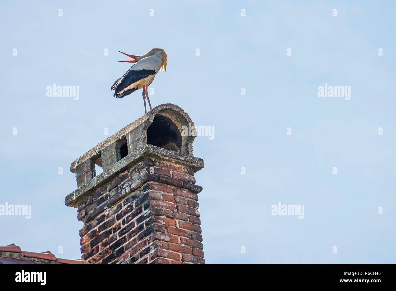 Stork On A Chimney Stock Photo - Alamy
