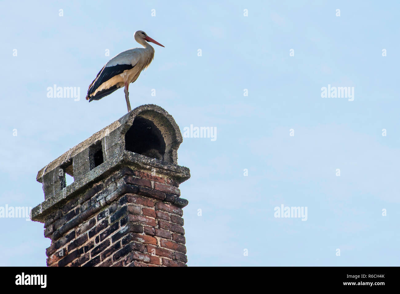 Stork on chimney house hi-res stock photography and images - Alamy