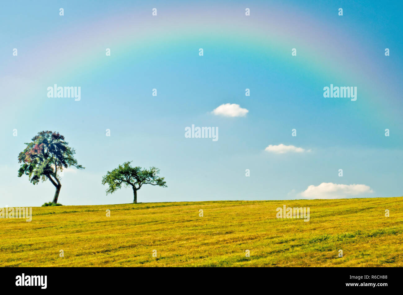 Trees With Rainbow Stock Photo - Alamy