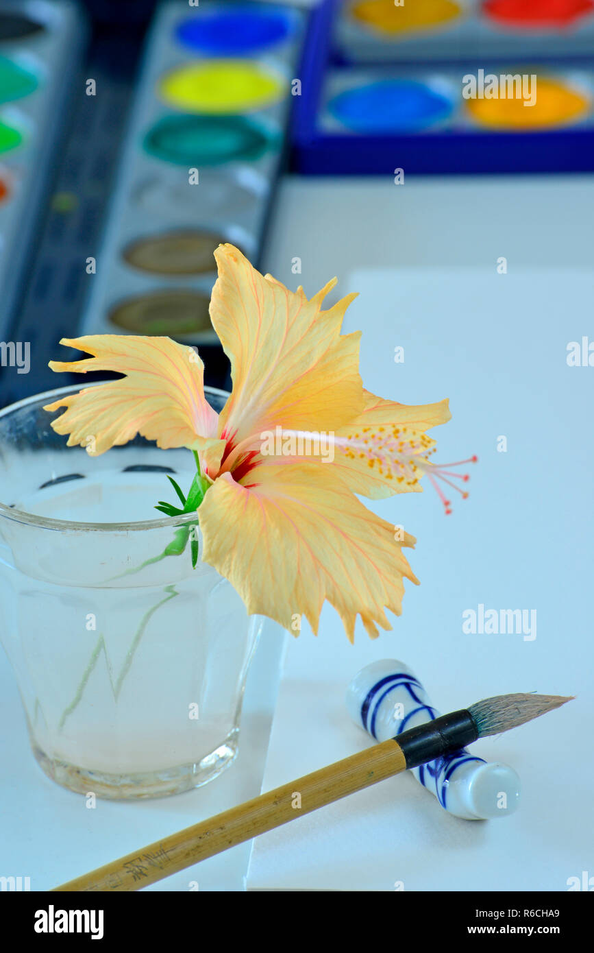 Hobby painting hi-res stock photography and images - Alamy