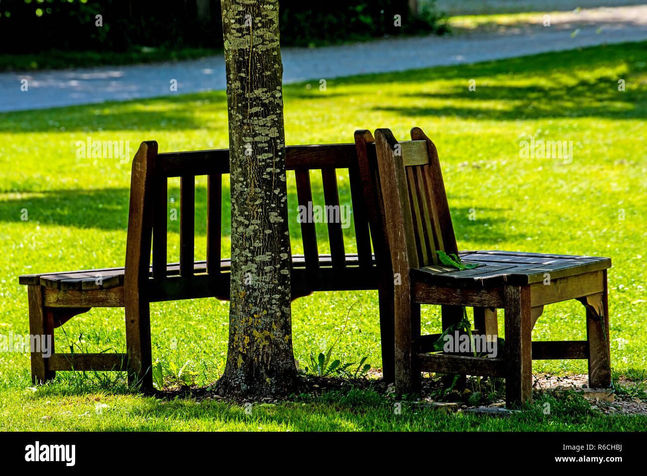 Park Bench Under Tree Stock Photo - Alamy