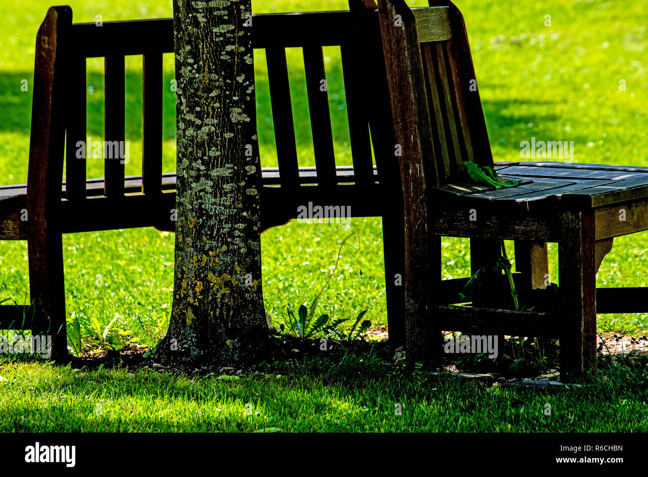 Park bench under tree hi-res stock photography and images - Alamy