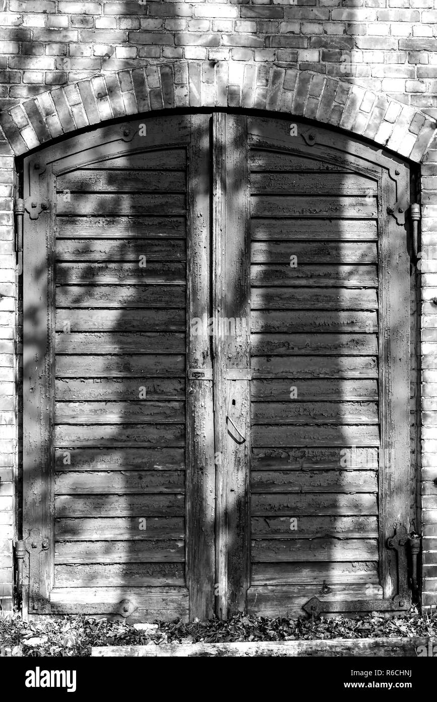 Old Wooden Door With Shadows Of Trees Stock Photo - Alamy