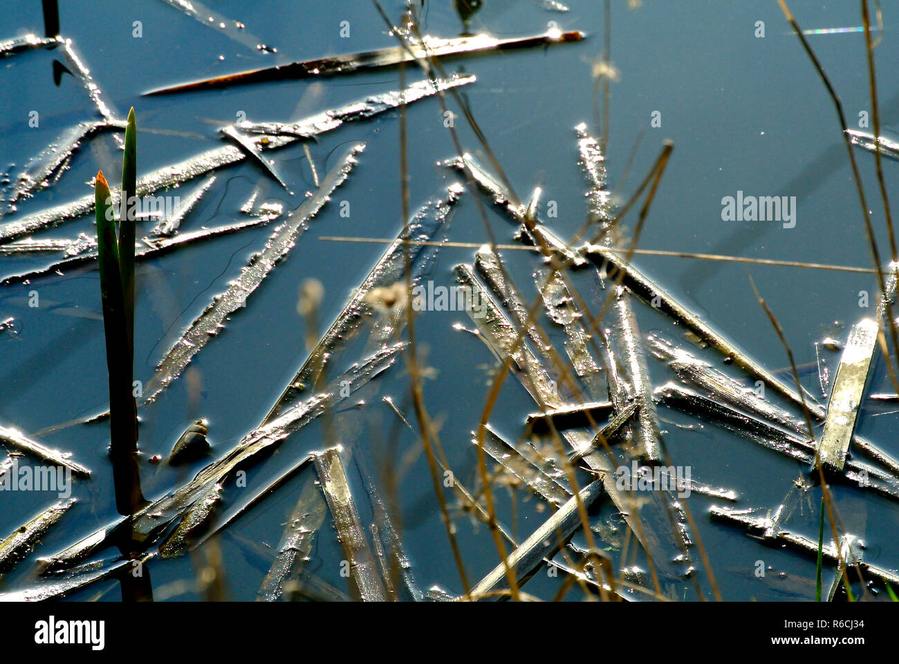 Water Surface With Floatsam Stock Photo - Alamy