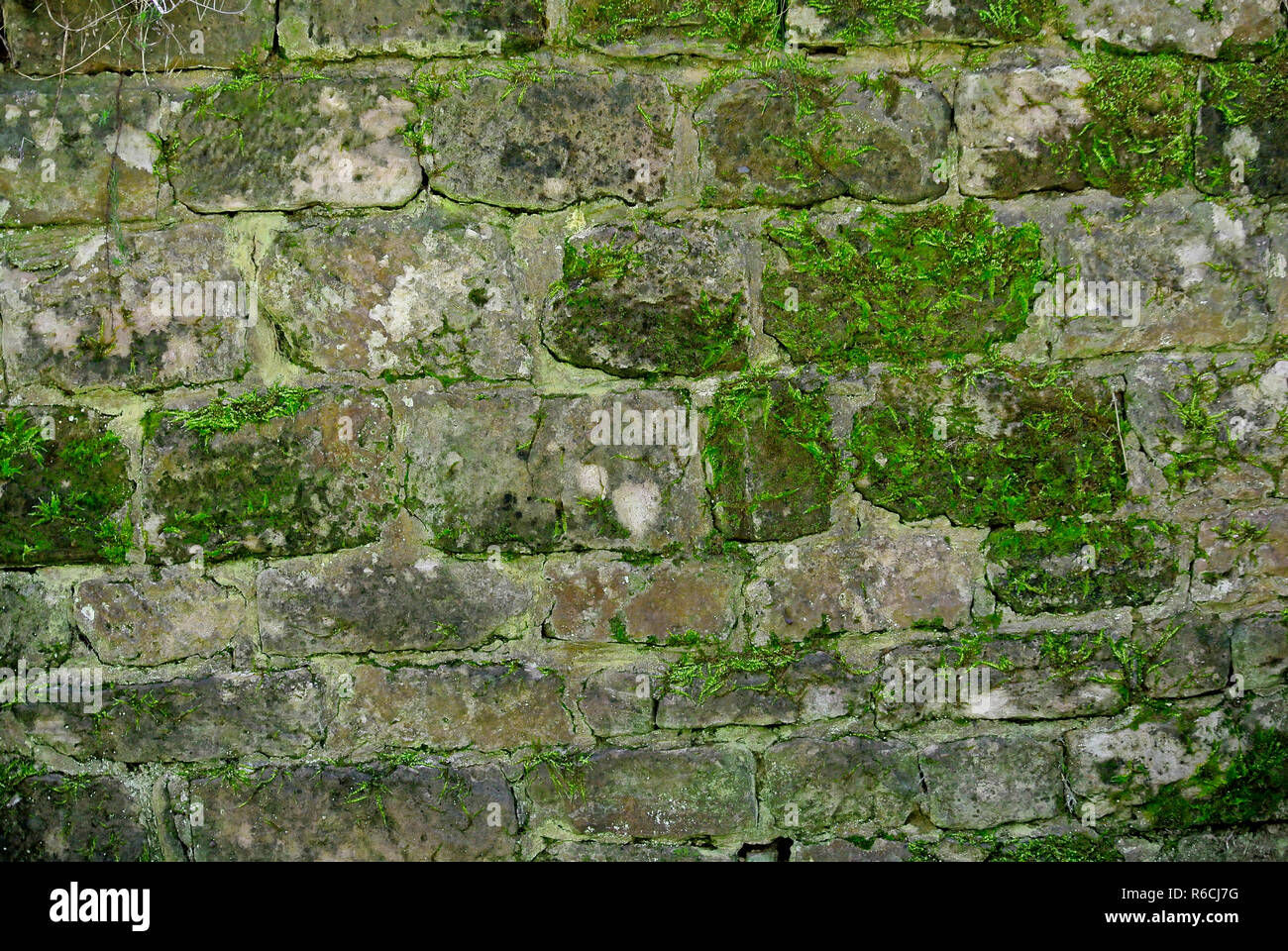 Medieval Wall Of A Castle Stock Photo - Alamy