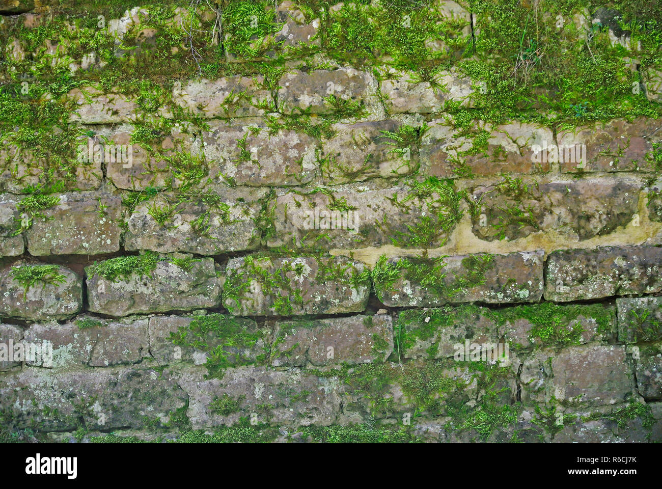 Medieval Wall Of A Castle Stock Photo - Alamy