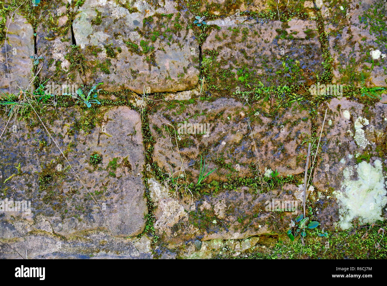 Medieval Wall Of A Castle Stock Photo - Alamy