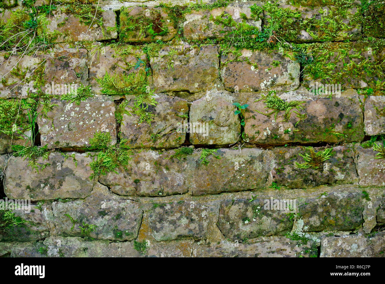 Medieval Wall Of A Castle Stock Photo - Alamy